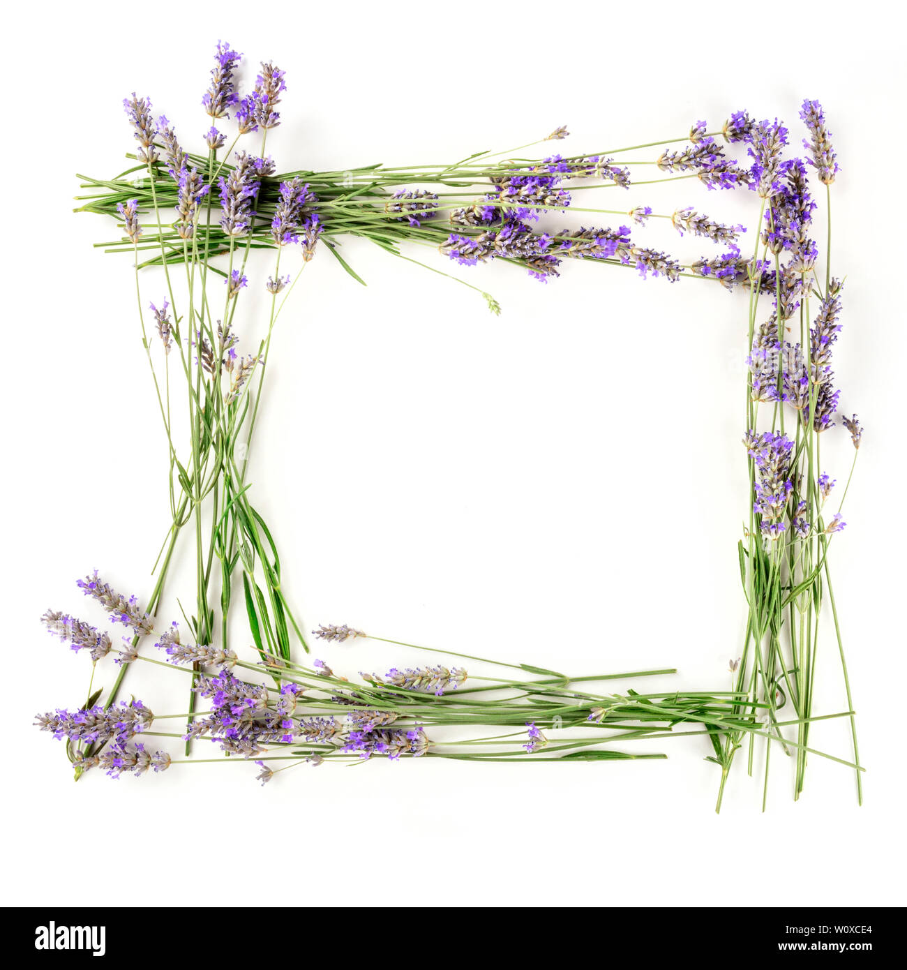 Long flower border Cut Out Stock Images & Pictures - Alamy