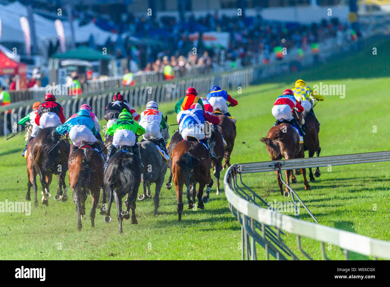 Horses jockeys racing into the final straight to the winning post rear ...