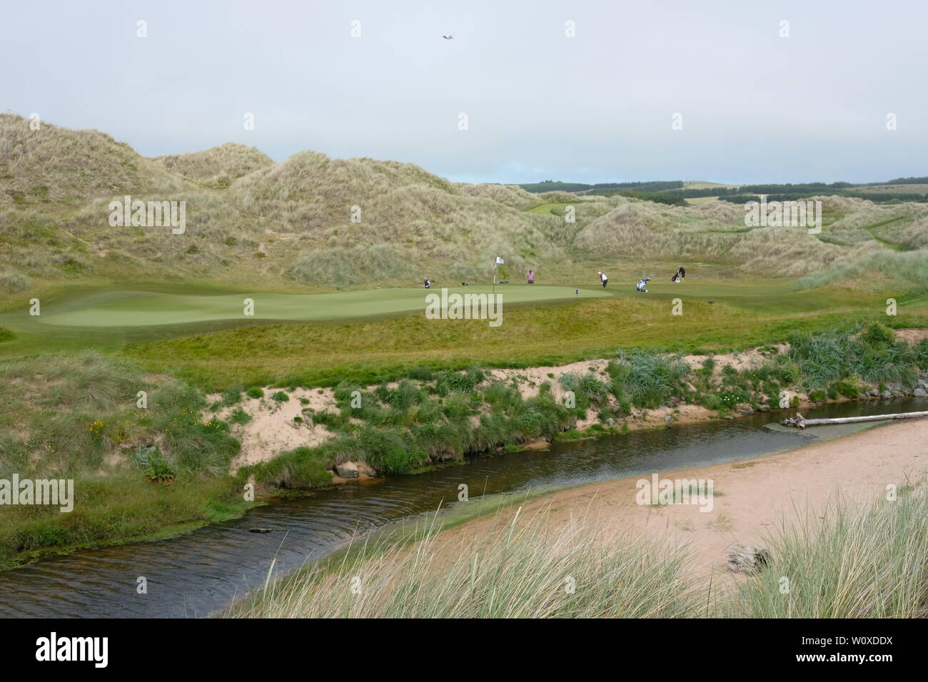 Donald trump’s scotland golf course hi-res stock photography and images ...