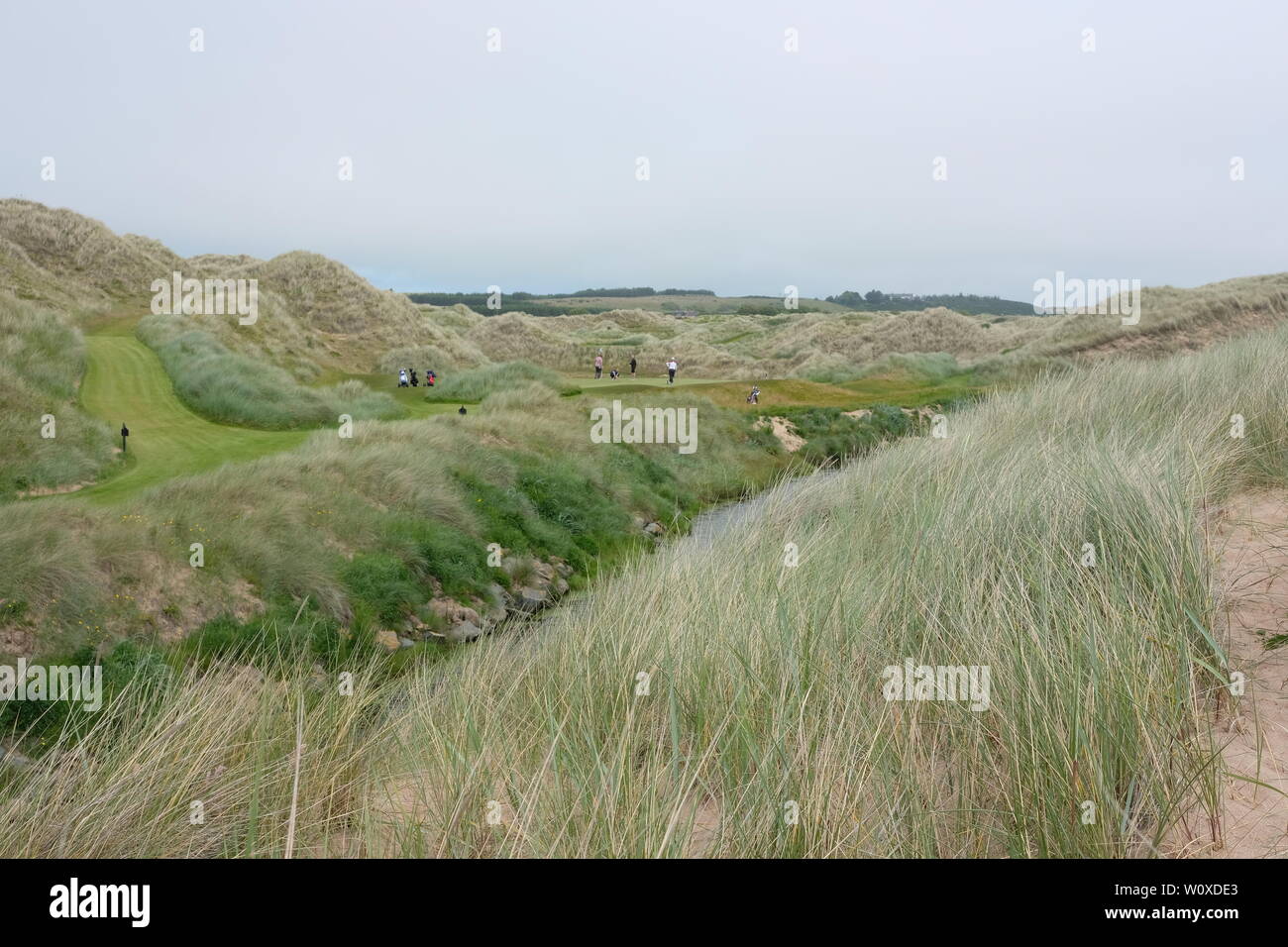 Scottish Golf Course Habitat High Resolution Stock Photography and ...