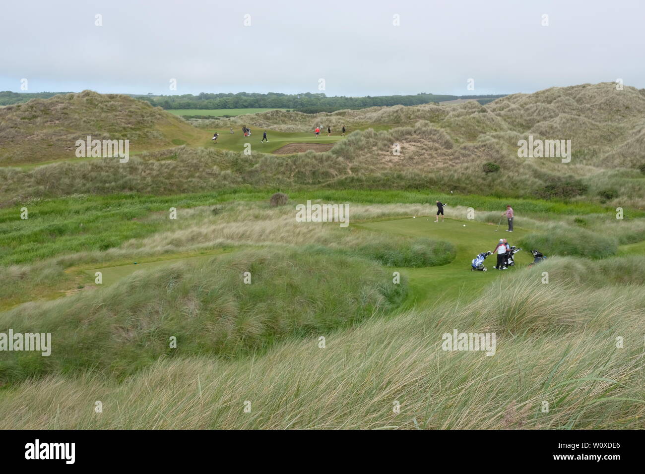 Scottish golf course habitat hi-res stock photography and images - Alamy