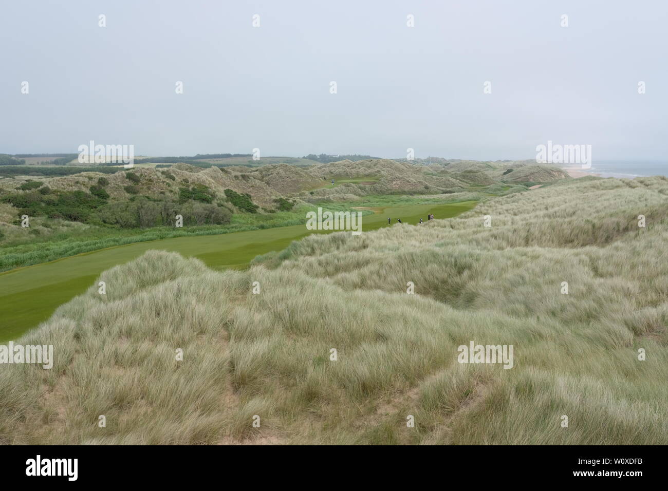 Donald trumps golf course hi-res stock photography and images - Alamy