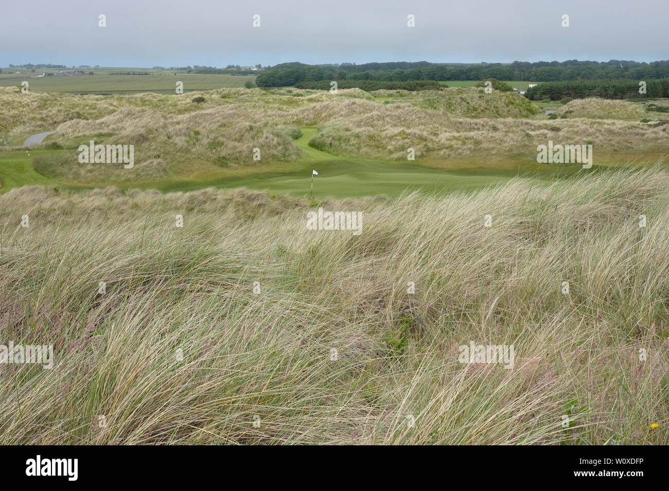 Donald trumps golf course hi-res stock photography and images - Alamy