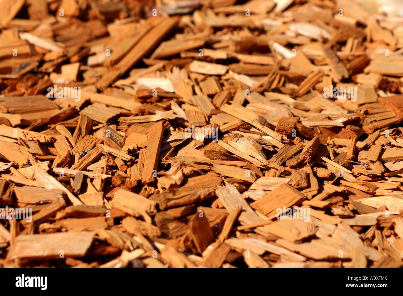 Natural decorative tree bark used to cover ground between flowers ...