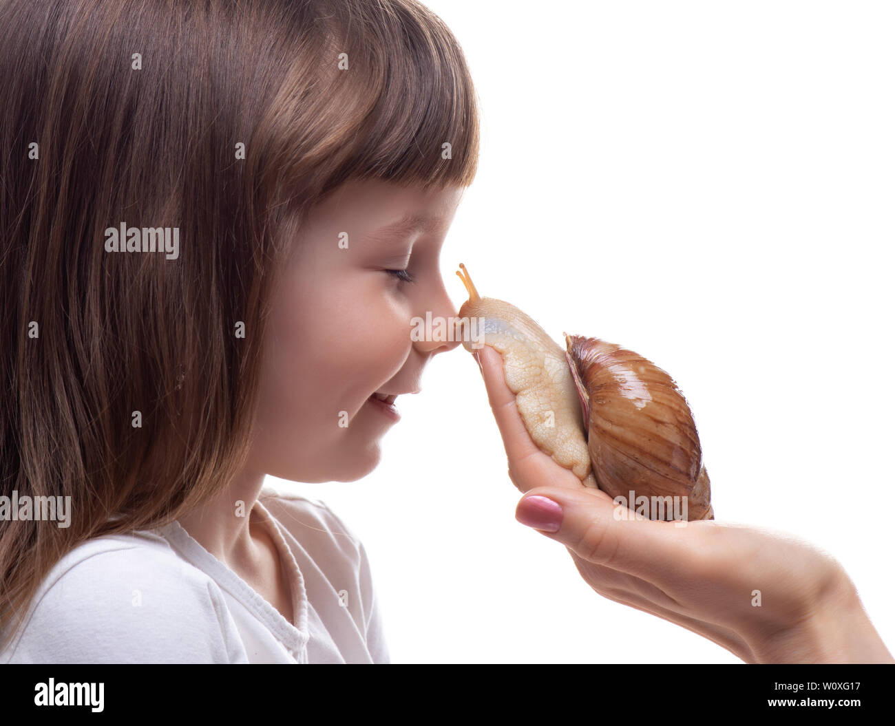 Attractive little girl is holding a Akhatina snail. Isolated on white ...