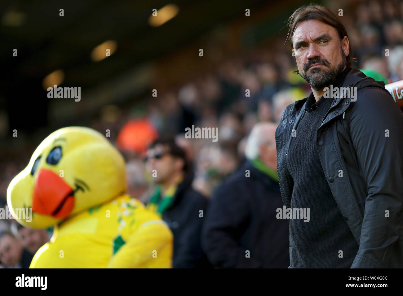 Norwich city mascot hi-res stock photography and images - Alamy