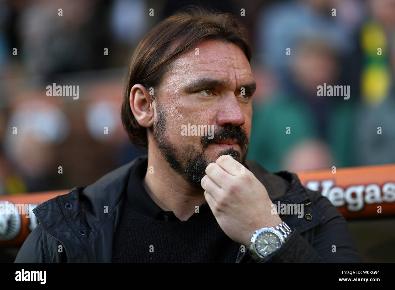Manager of Norwich City, Daniel Farke - Norwich City v Bristol City ...