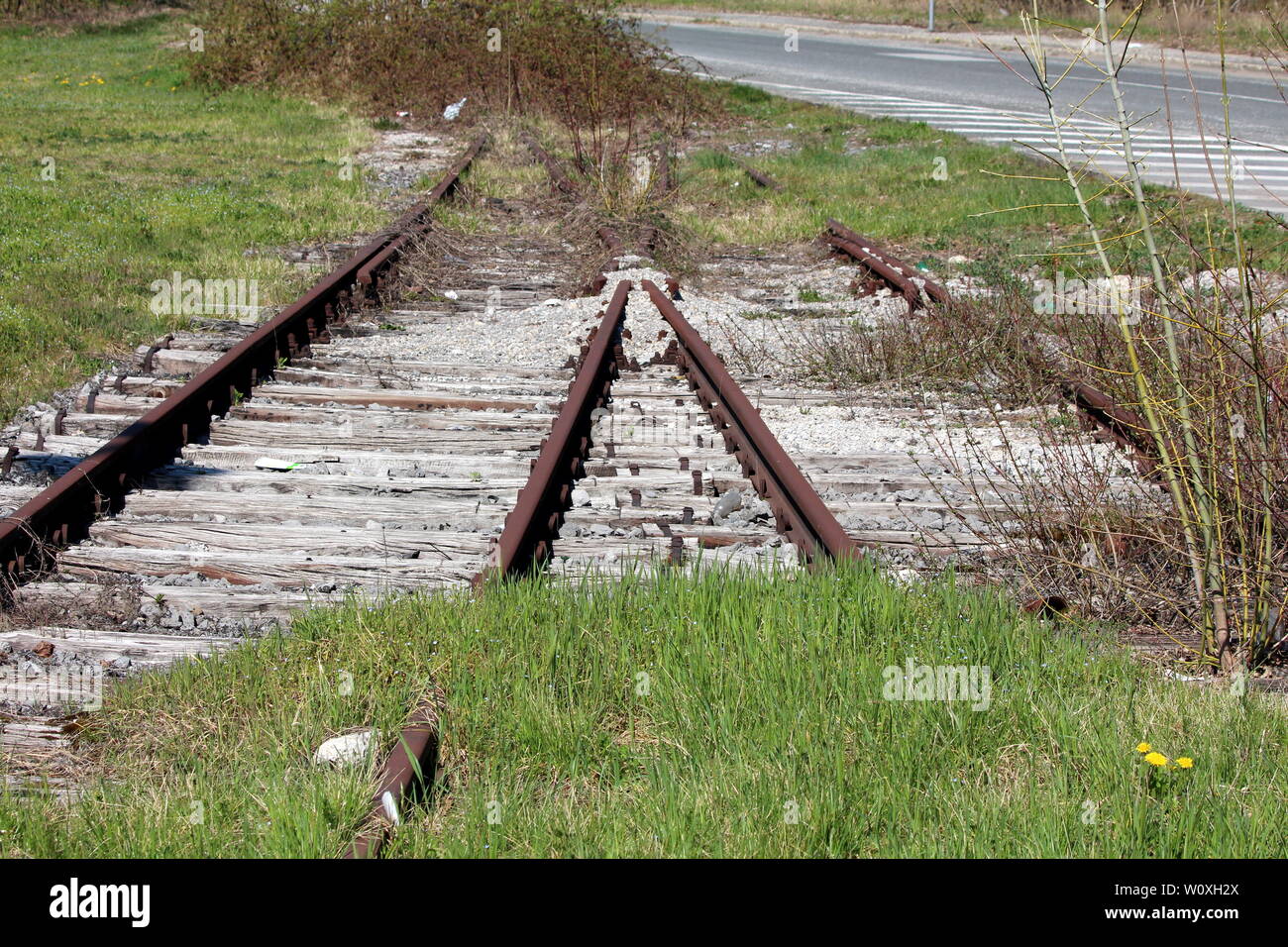 Overgrown old unused rusted railroad tracks resting on wooden railroad ...