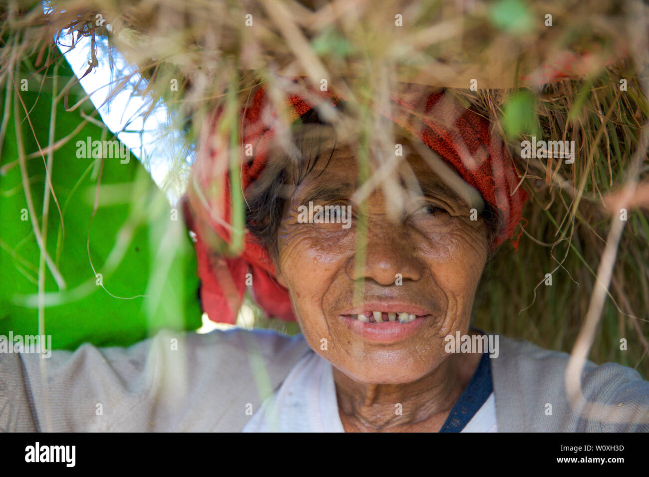 People of Bali Stock Photo - Alamy