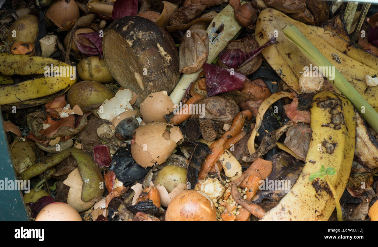 Food waste in garden compost bin. UK Stock Photo - Alamy