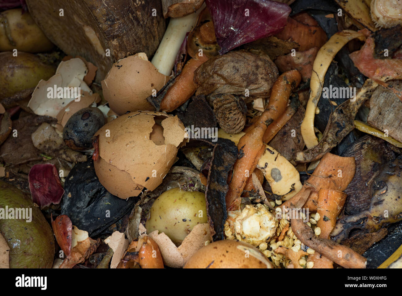 Food waste in garden compost bin. UK Stock Photo - Alamy