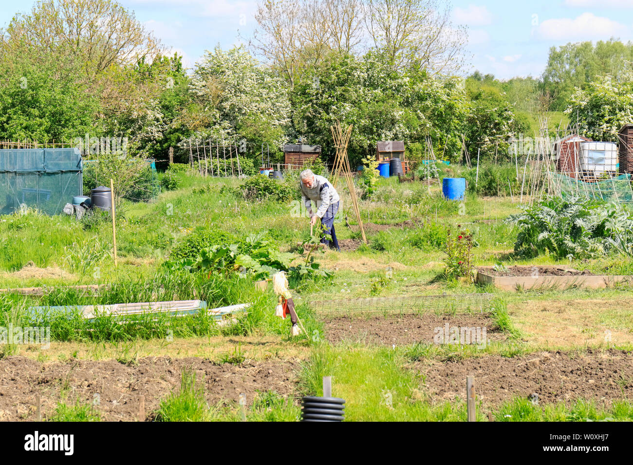 Man digging allotment hi-res stock photography and images - Alamy