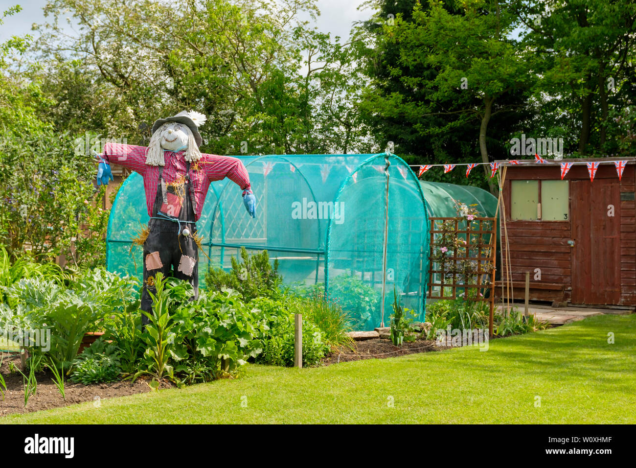 Allotment plot vegetables grow hi-res stock photography and images - Alamy