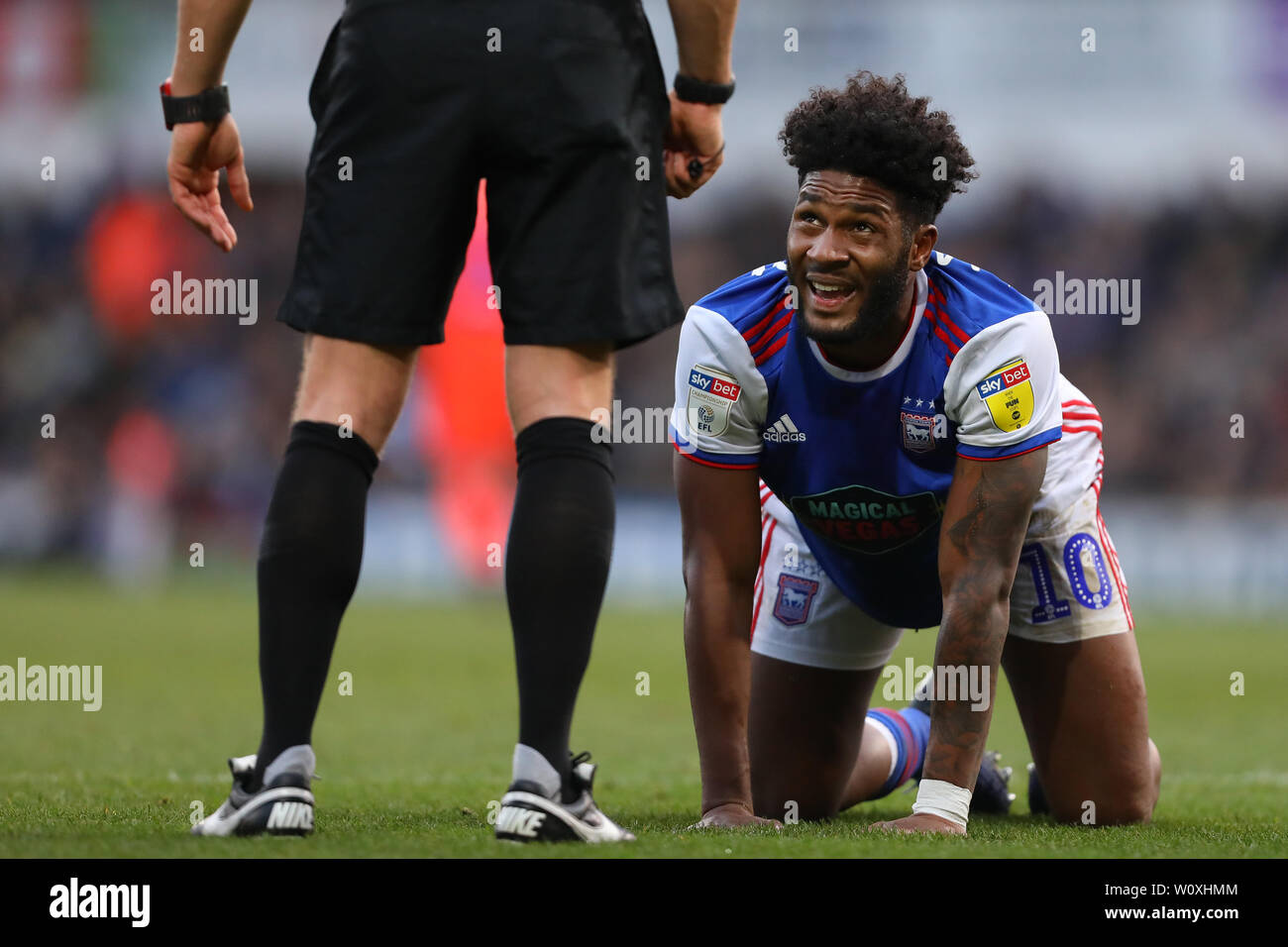 Steve ellis hi-res stock photography and images - Alamy