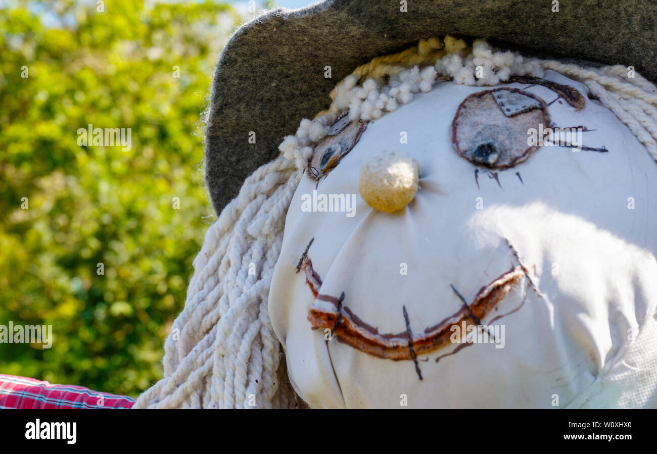 Front view close-up of a scarecrow face Stock Photo - Alamy