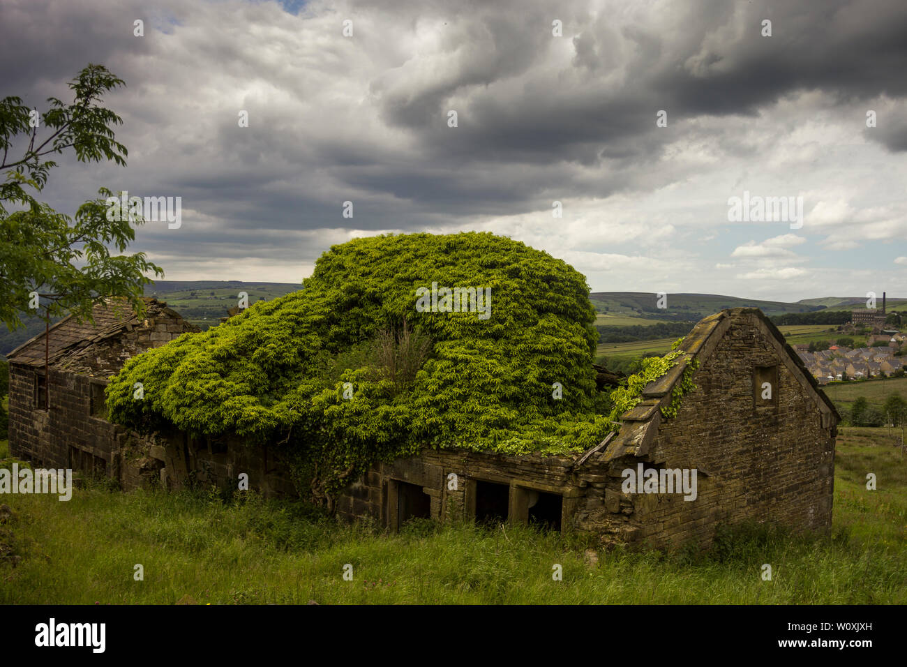 Derelict farm buildings on the moors above Keighley, West Yorkshire, UK ...