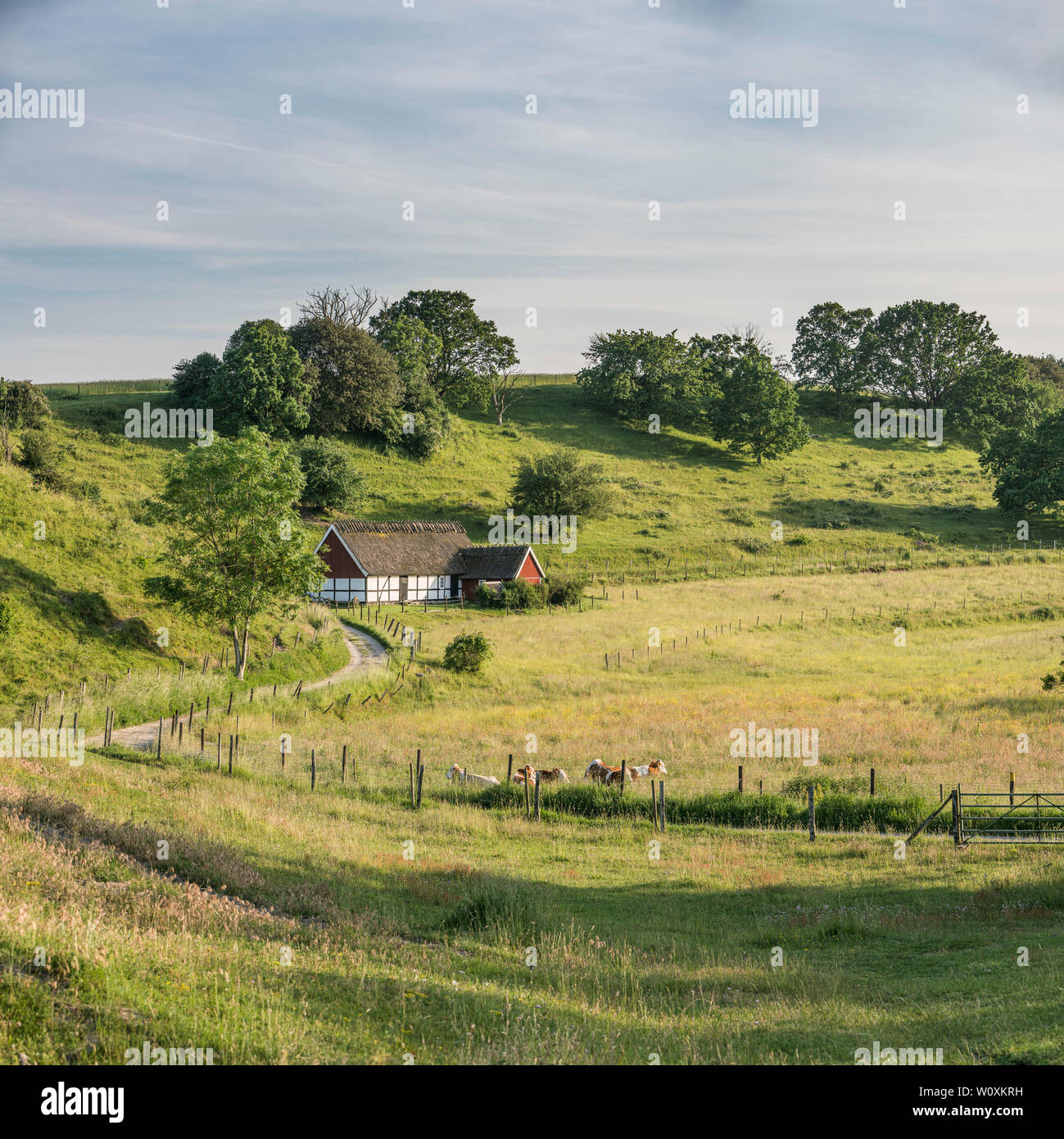 Lindgrens langa hi-res stock photography and images - Alamy