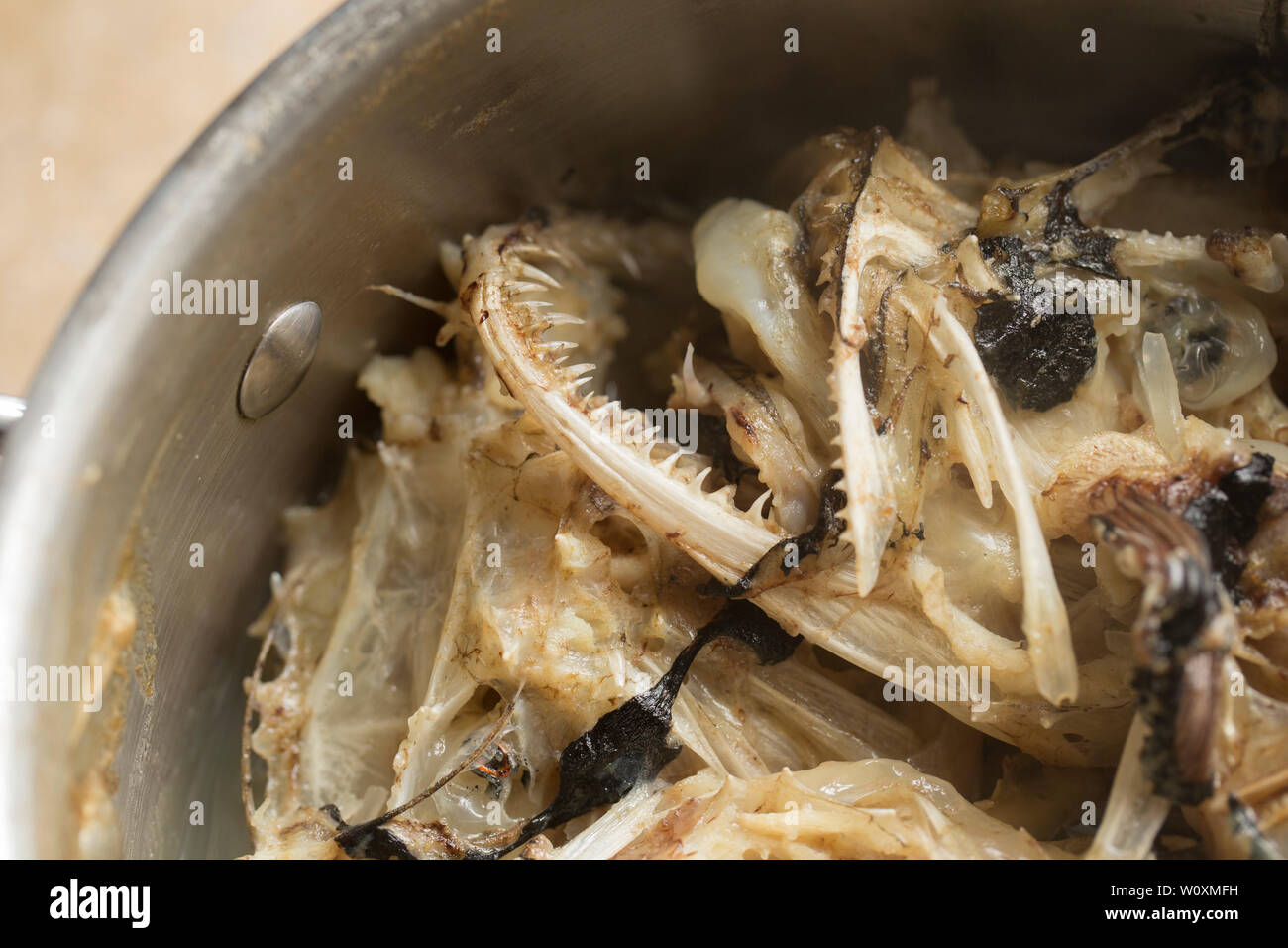 Anglerfish hi-res stock photography and images - Alamy