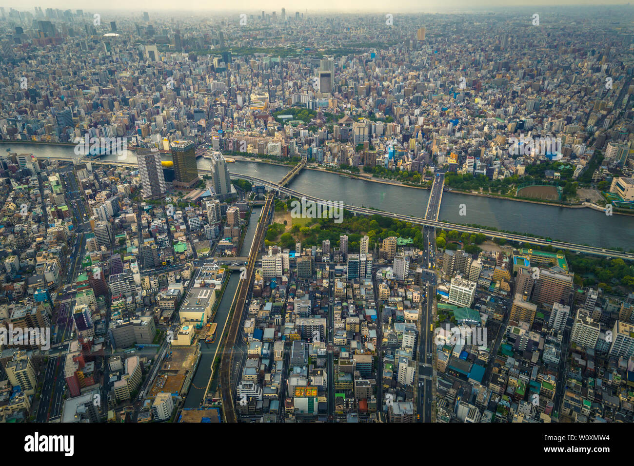 Tokyo from above hi-res stock photography and images - Alamy