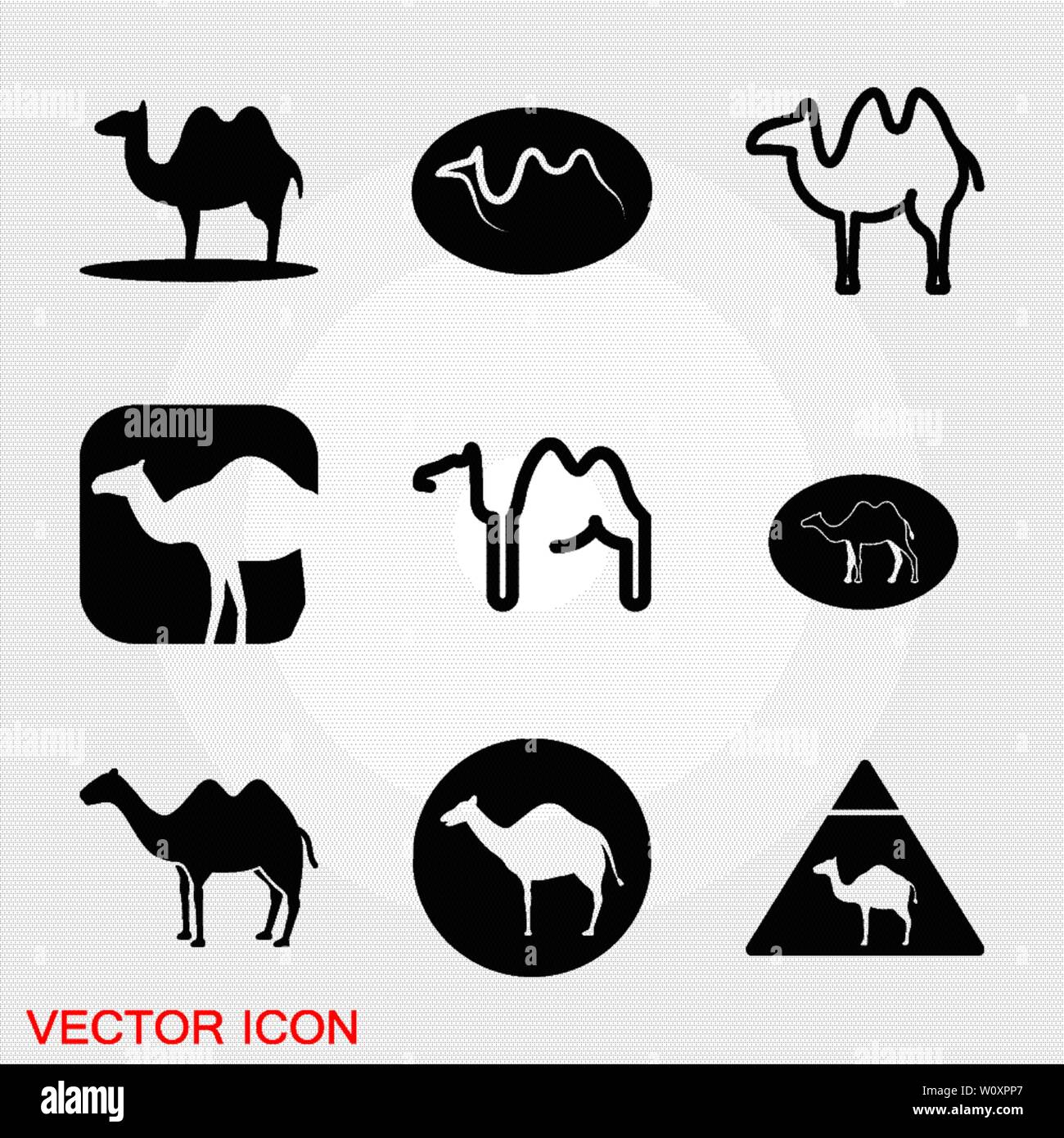 Camel icon. Vector symbol African animal for web and design Stock ...