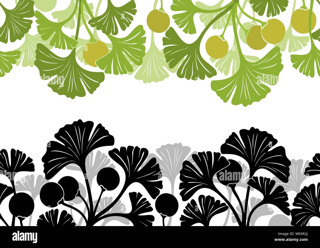 Green ginkgo biloba tree Stock Vector Images - Alamy