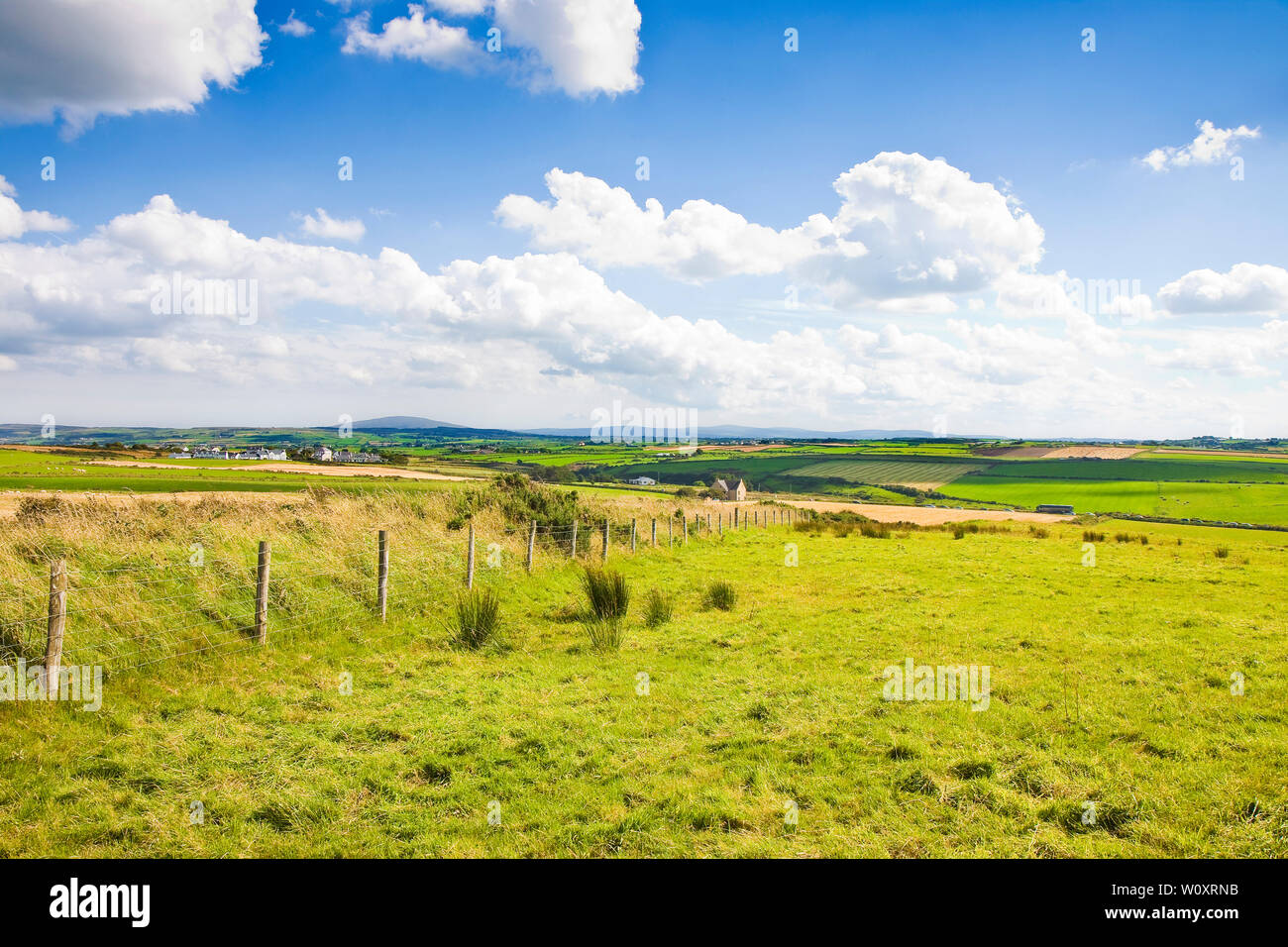 Typical Irish flat landscape with fields of grass and wooden fence for ...
