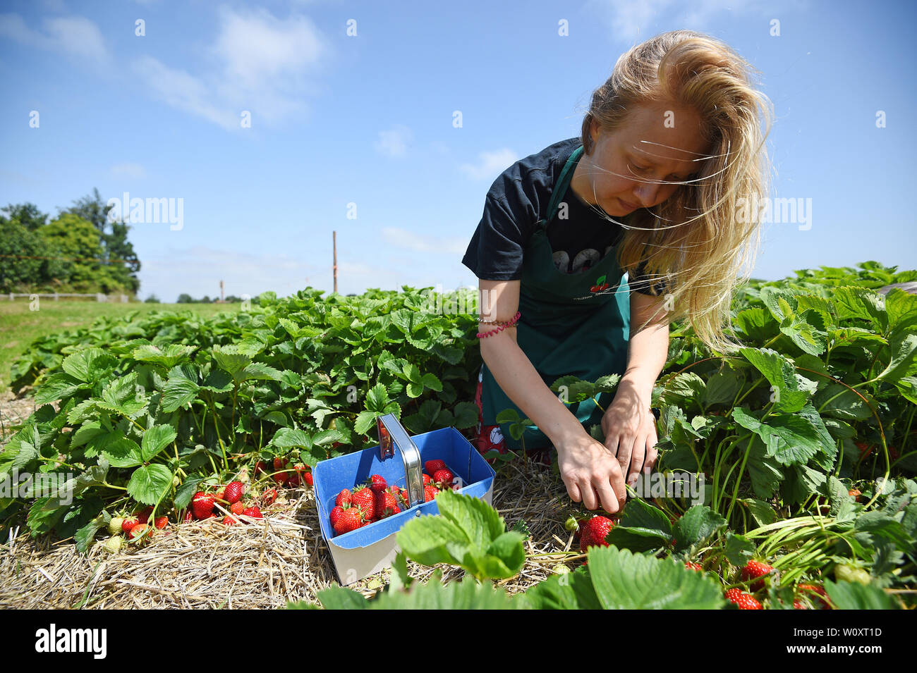 Chilton manor farm hi-res stock photography and images - Alamy