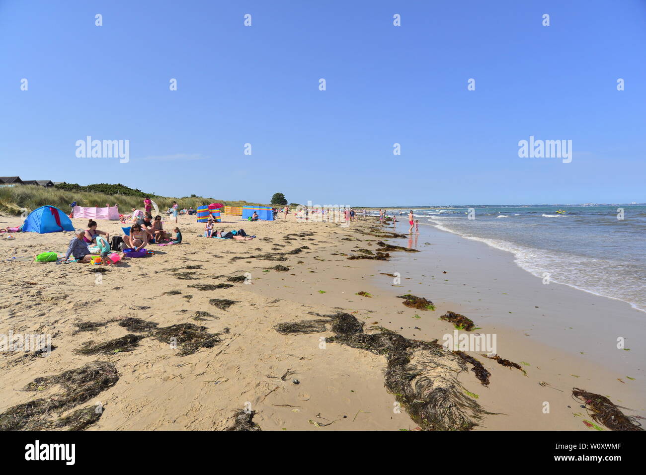 Studland bay 2019 hi-res stock photography and images - Alamy