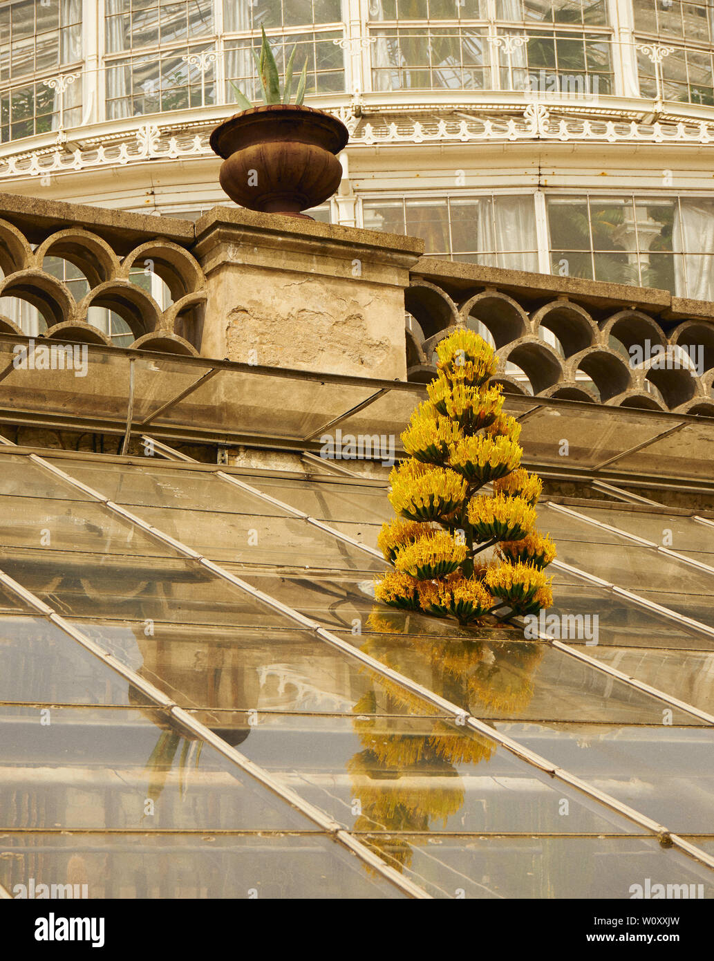 Breaking through the glass ceilling Stock Photo - Alamy