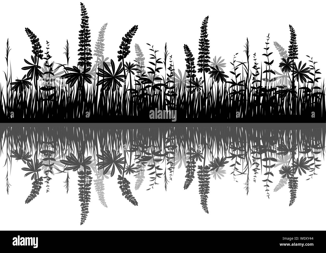 Pond grass landscape Black and White Stock Photos & Images - Alamy