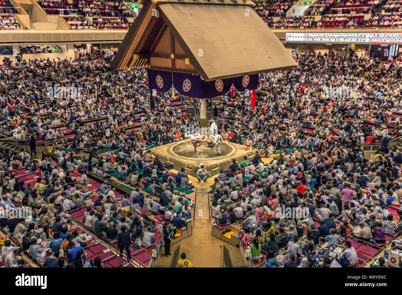 Tokyo - May 19, 2019: Sumo wrestling match in the Ryogoku arena, Tokyo ...