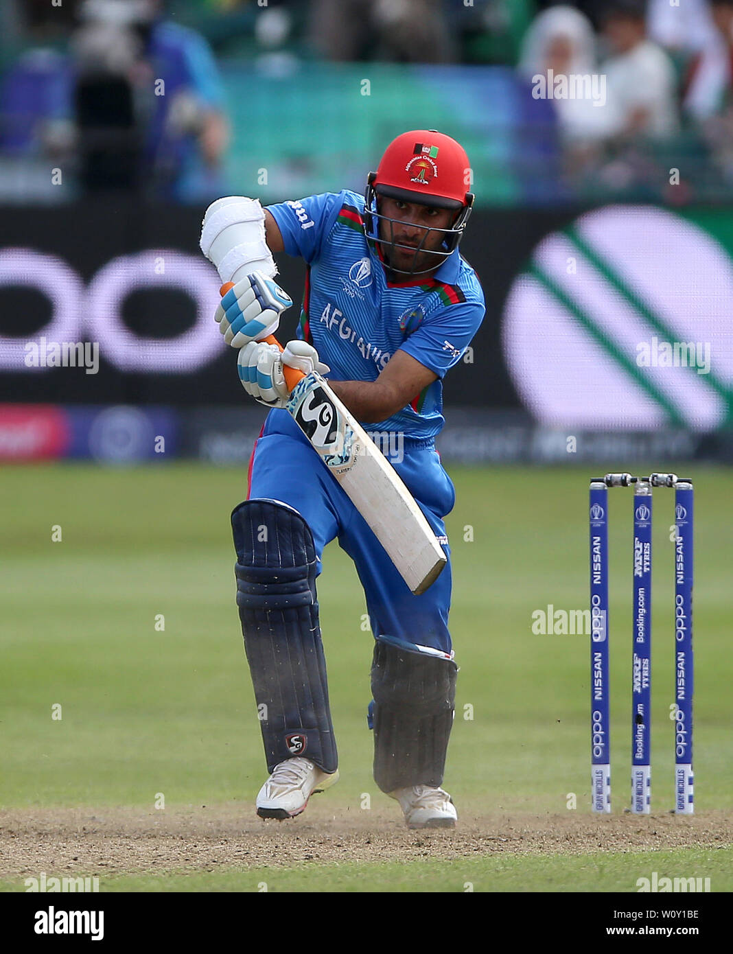 Afghanistan's Hashmatullah Shahidi Stock Photo - Alamy