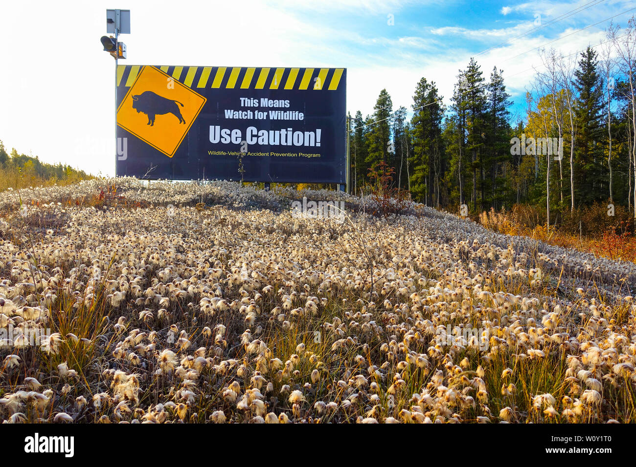 Bison warning hi-res stock photography and images - Alamy