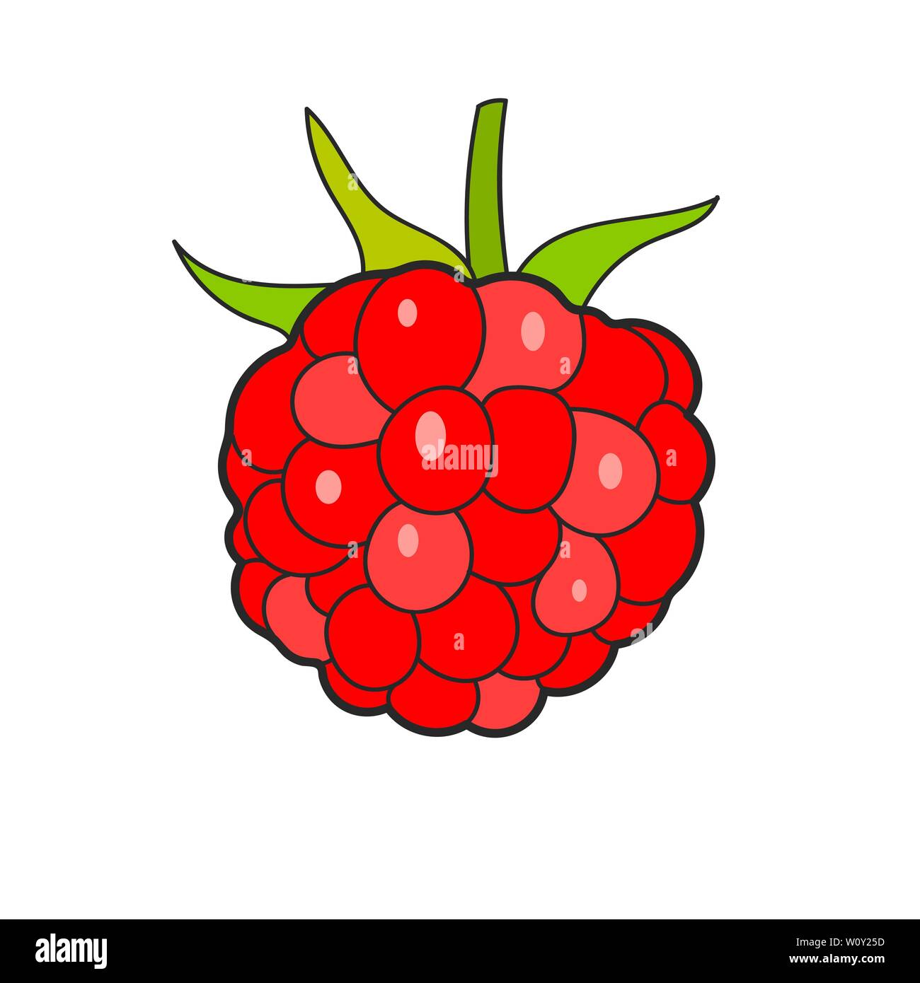 Raspberry Sketch Vector Illustration Ready For Your Design, Greeting ...