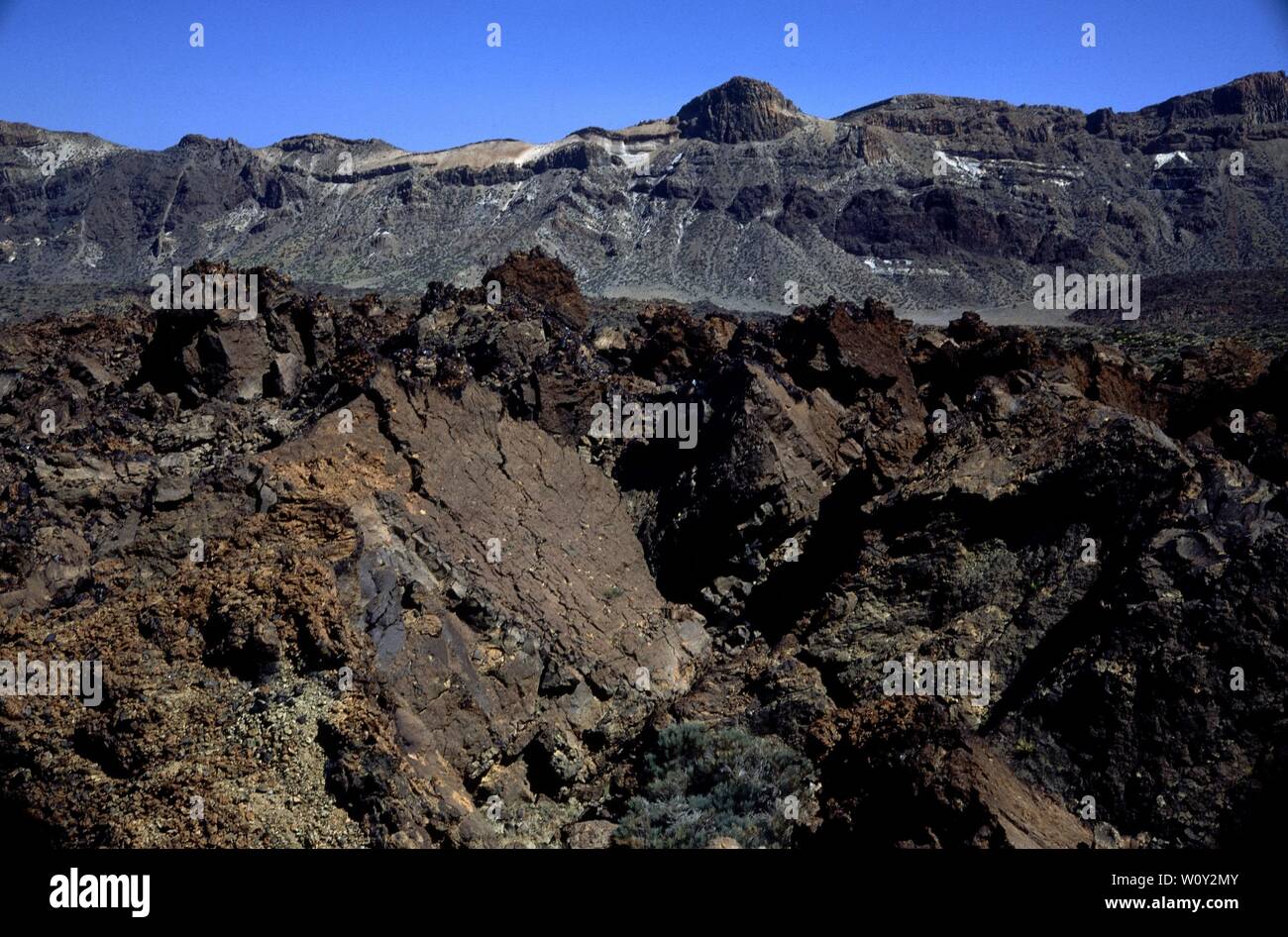 Petrificada hi-res stock photography and images - Alamy