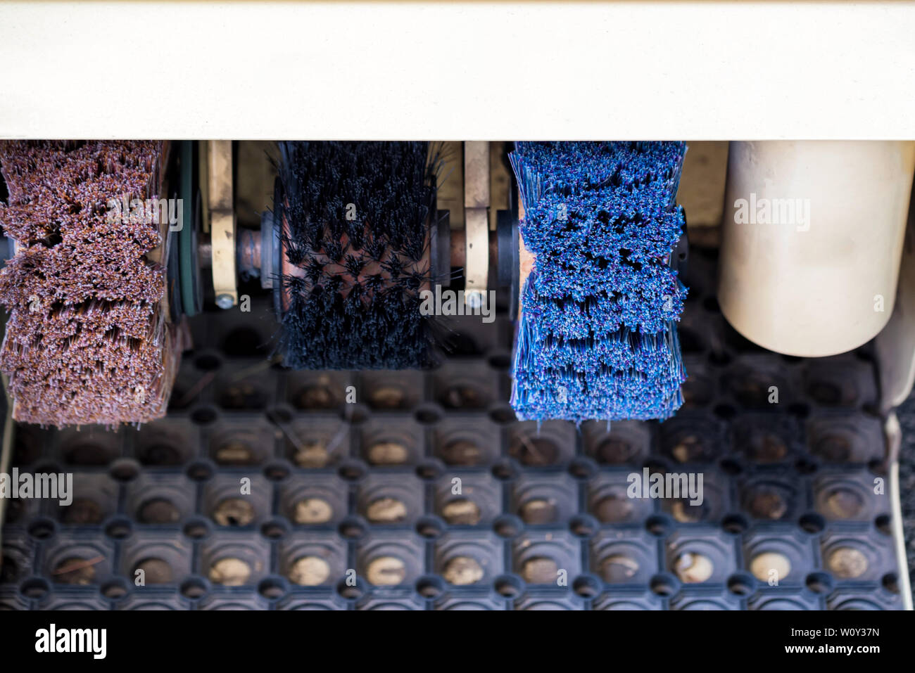 Electric shoe polisher machine close up image Stock Photo - Alamy