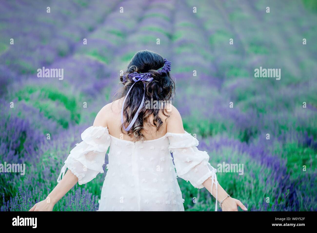 Girl with beautiful long hair and a lavender wreath on the lavender ...