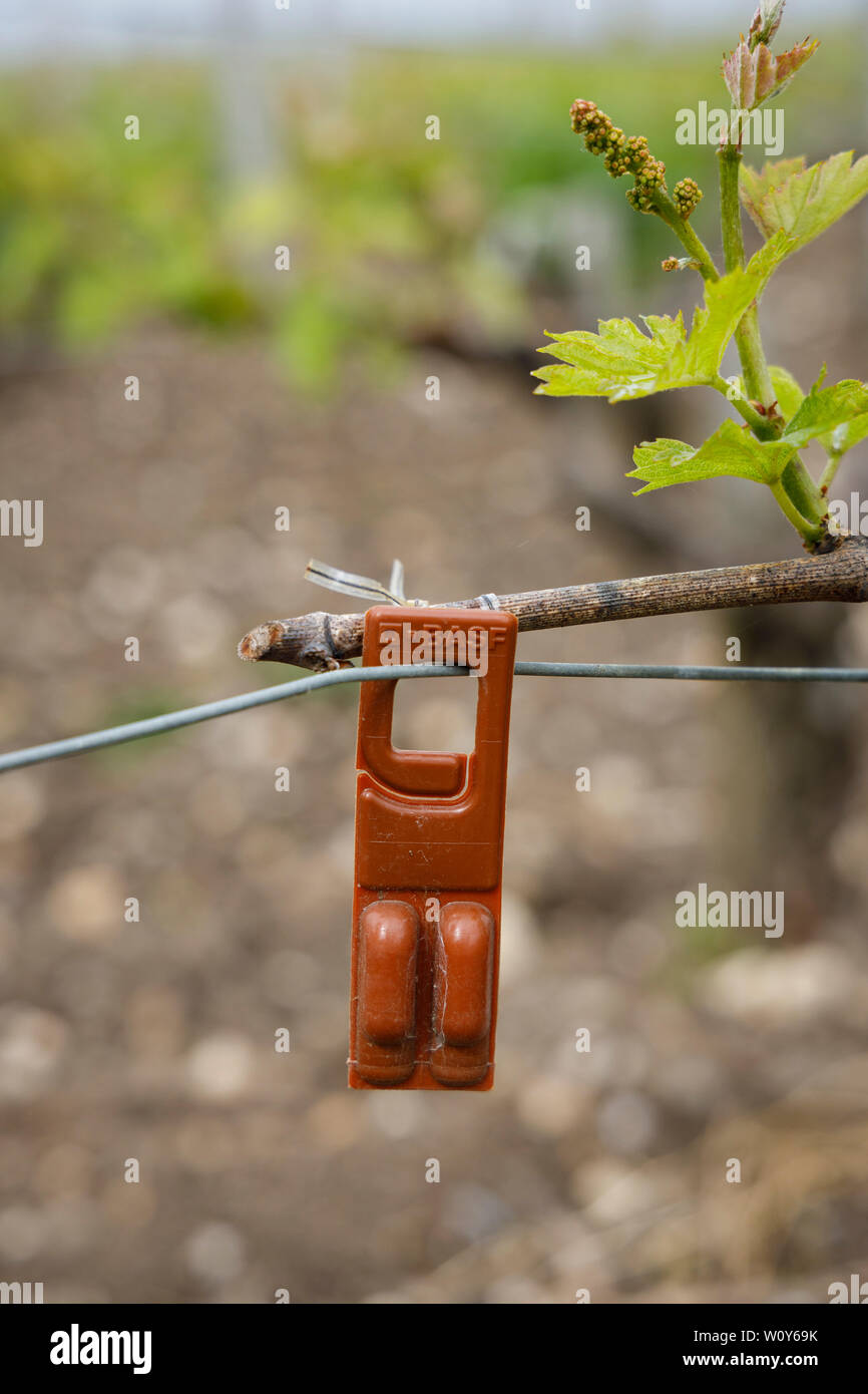 Tag grand hi-res stock photography and images - Alamy