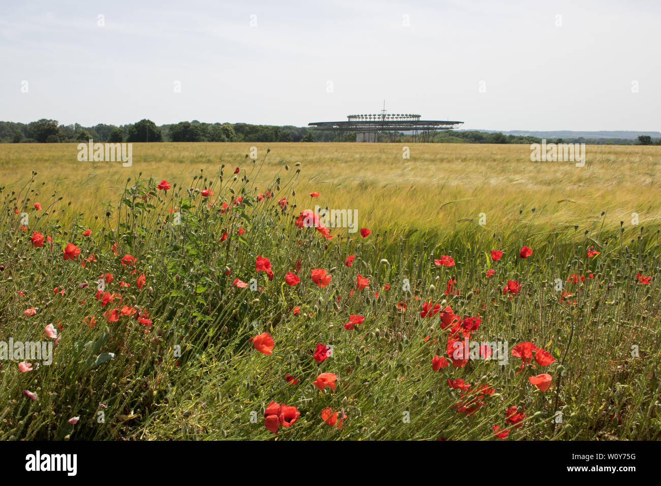 Wisley airfield hi-res stock photography and images - Alamy
