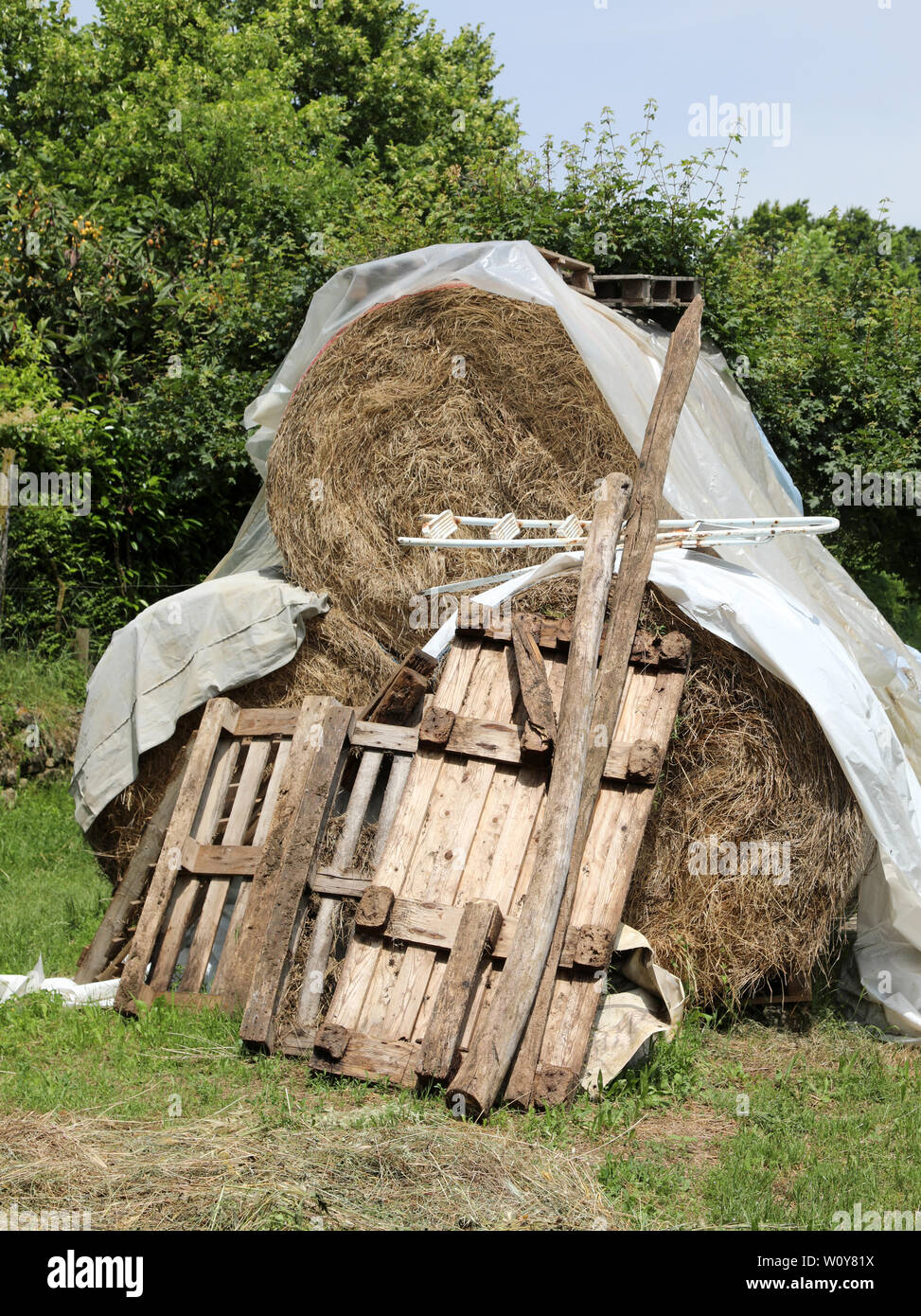 big haystack with wooden pallets in the farm Stock Photo - Alamy