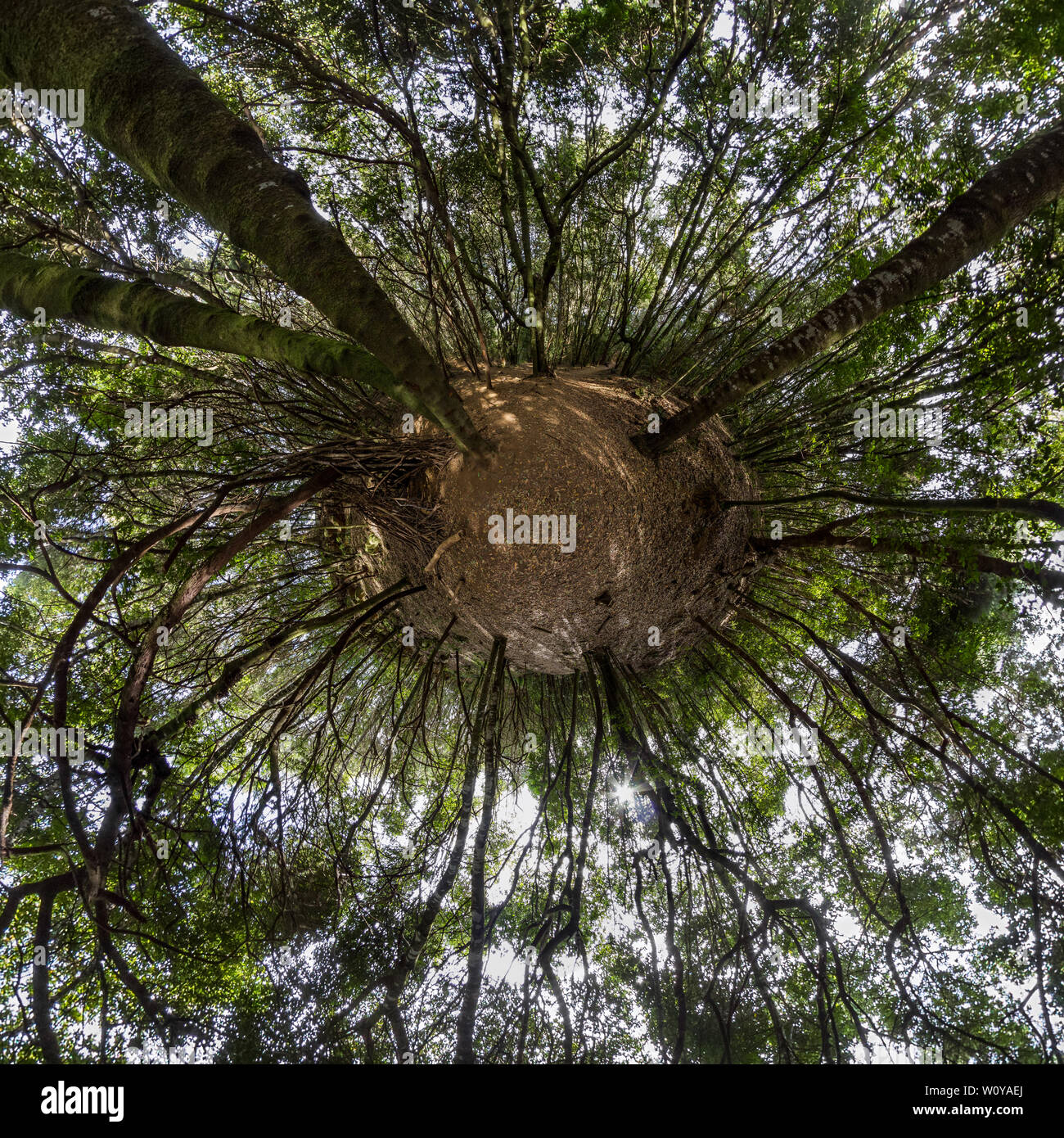Full spherical hi-res stock photography and images - Alamy