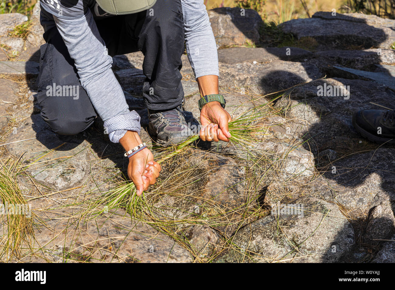 Making rope inca hi-res stock photography and images - Alamy