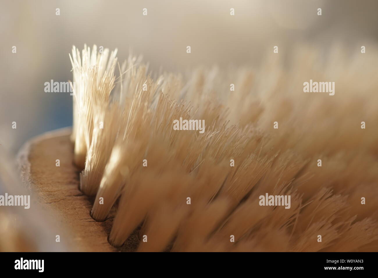 Pile brushes for clothes close-up Stock Photo - Alamy