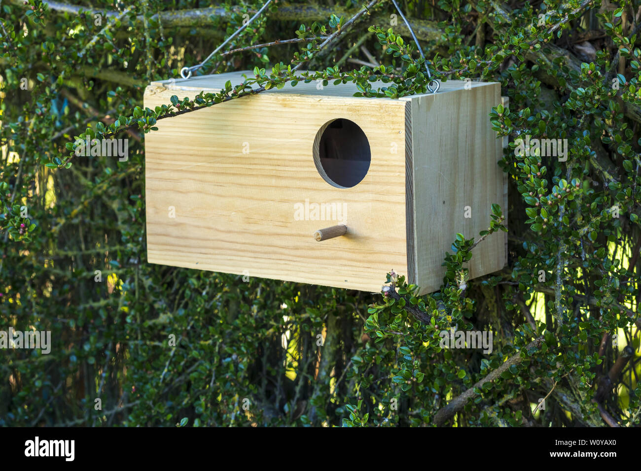 Hut and feeder for wild birds. With food for birds Stock Photo - Alamy
