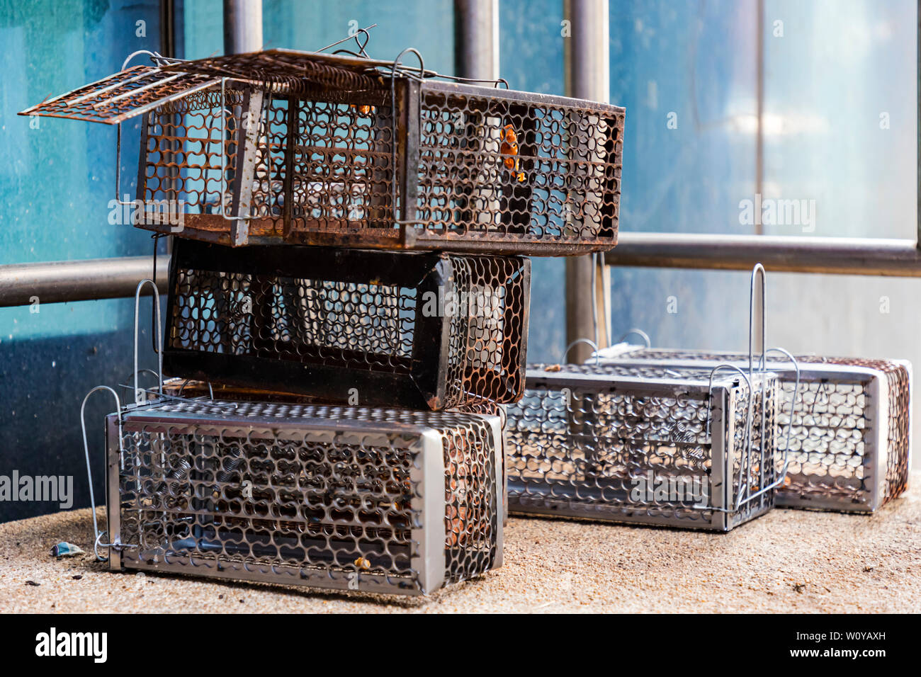 Mouse house cage hi-res stock photography and images - Alamy