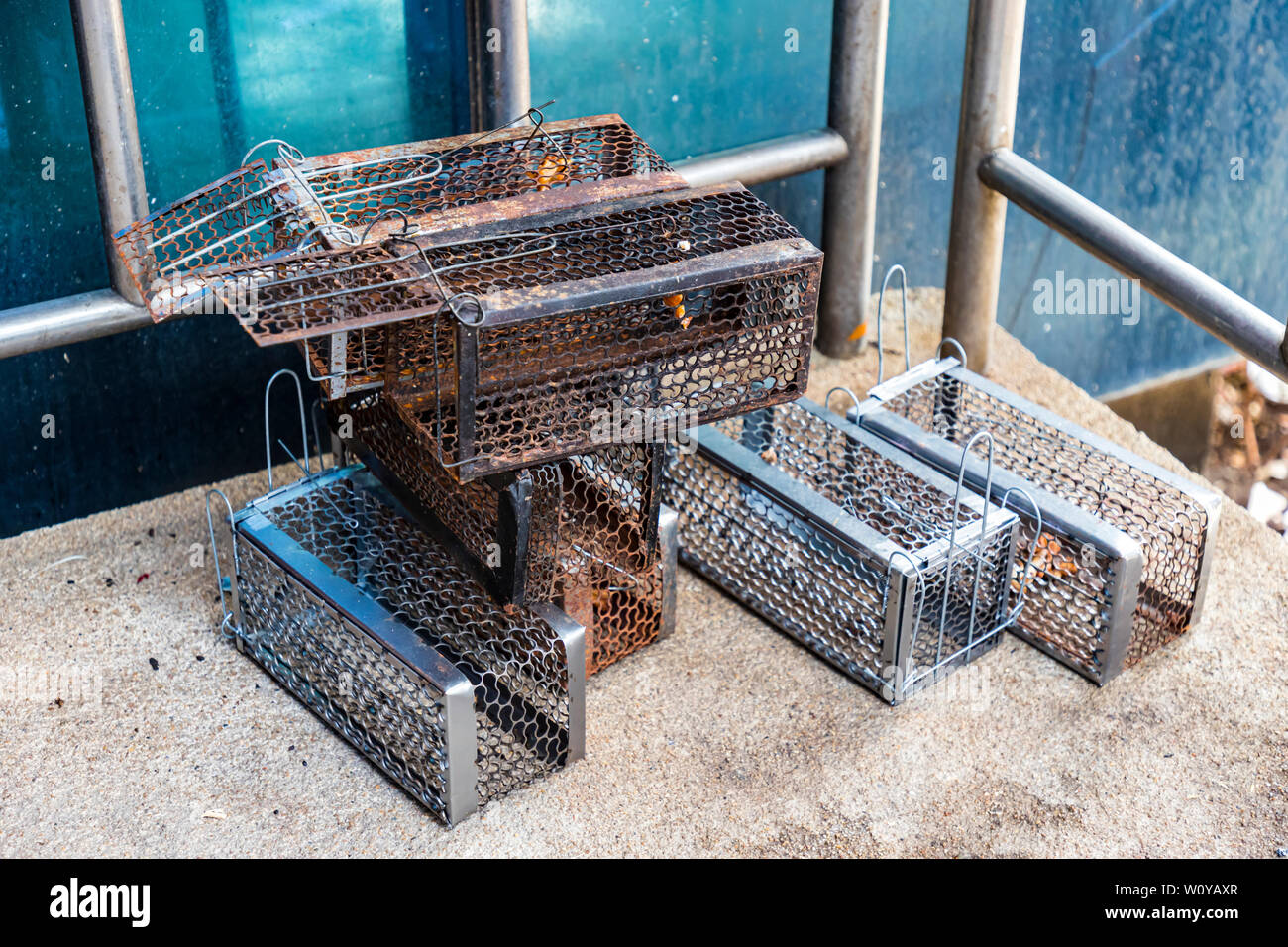 Mouse house cage hi-res stock photography and images - Alamy