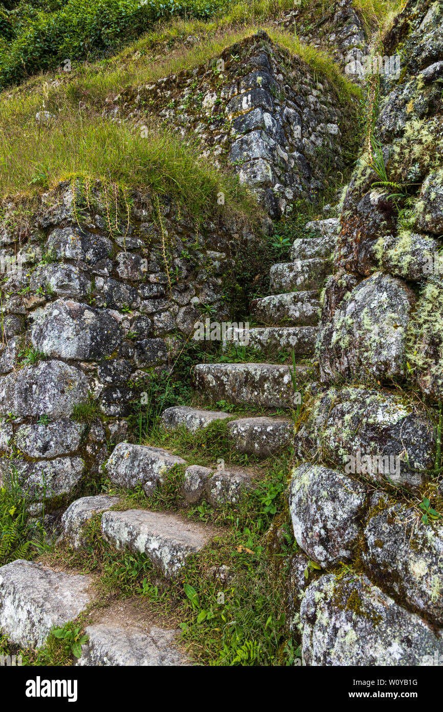 Inca trail, day 3, Pacay Mayo Alto via Abra de Runku Racay pass and ...