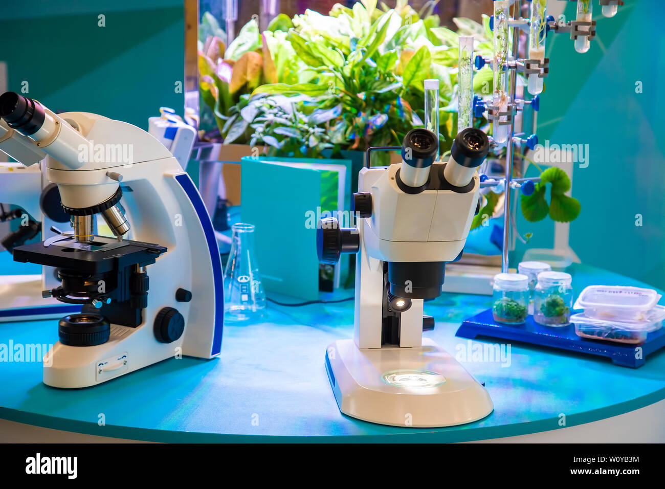 Modern chemical laboratory experiment hi-res stock photography and ...