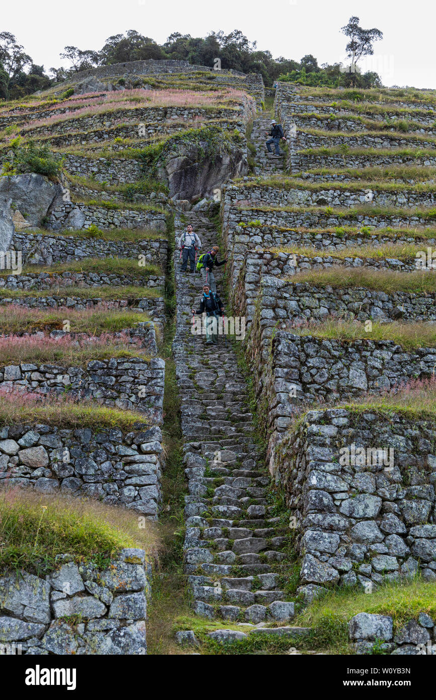 Inca terraces with stairs hi-res stock photography and images - Alamy