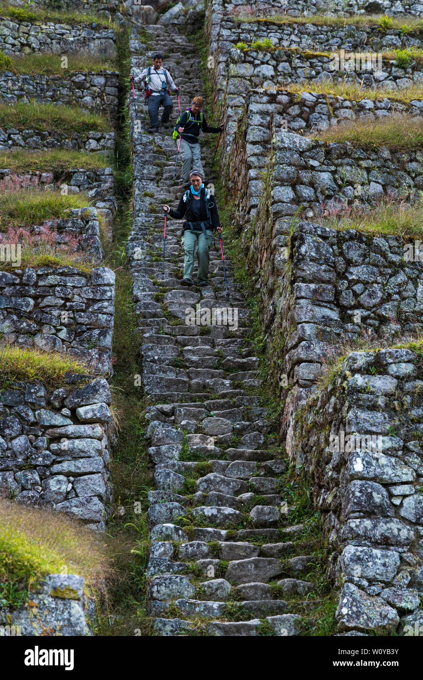 Inca terraces with stairs hi-res stock photography and images - Alamy